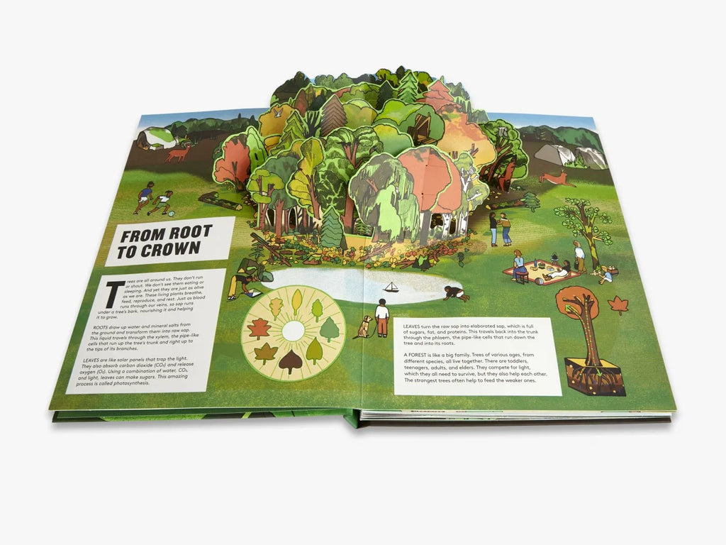Pop-Up Forest!